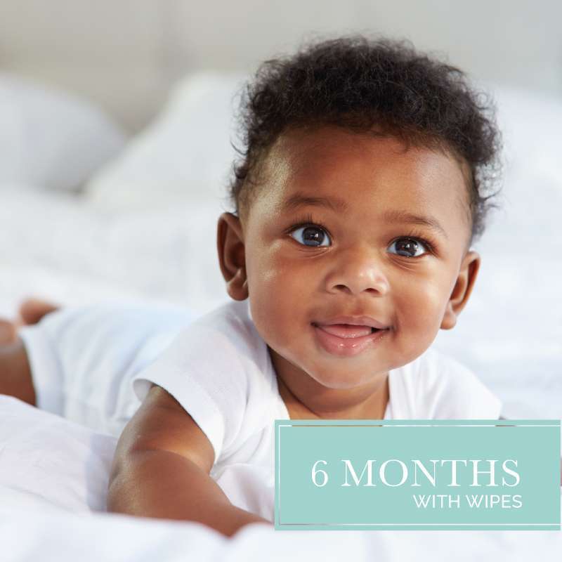 Diaper Sample Box - Baby Showers By Mail